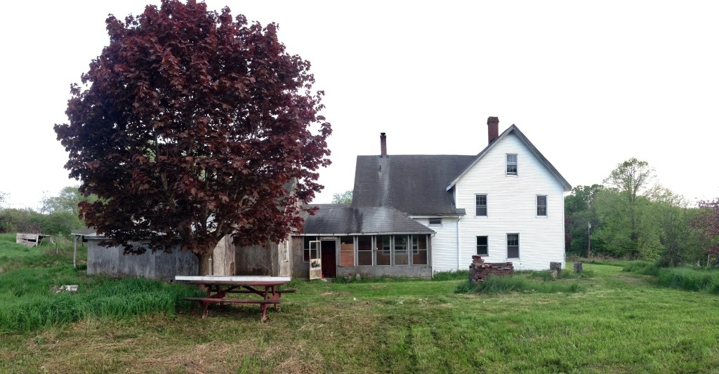We bought a Farm – SEASONS OF ELLIS